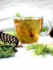 Recipes Archives - SimplyBeyondHerbs