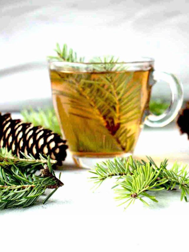 Using the power of herbs | Simply beyond herbs