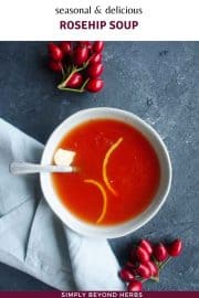 Rosehip Soup - Nyponsoppa: Swedish specialty - SimplyBeyondHerbs