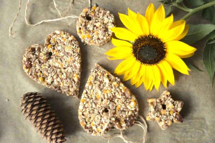 How to make birdseed ornaments - SimplyBeyondHerbs