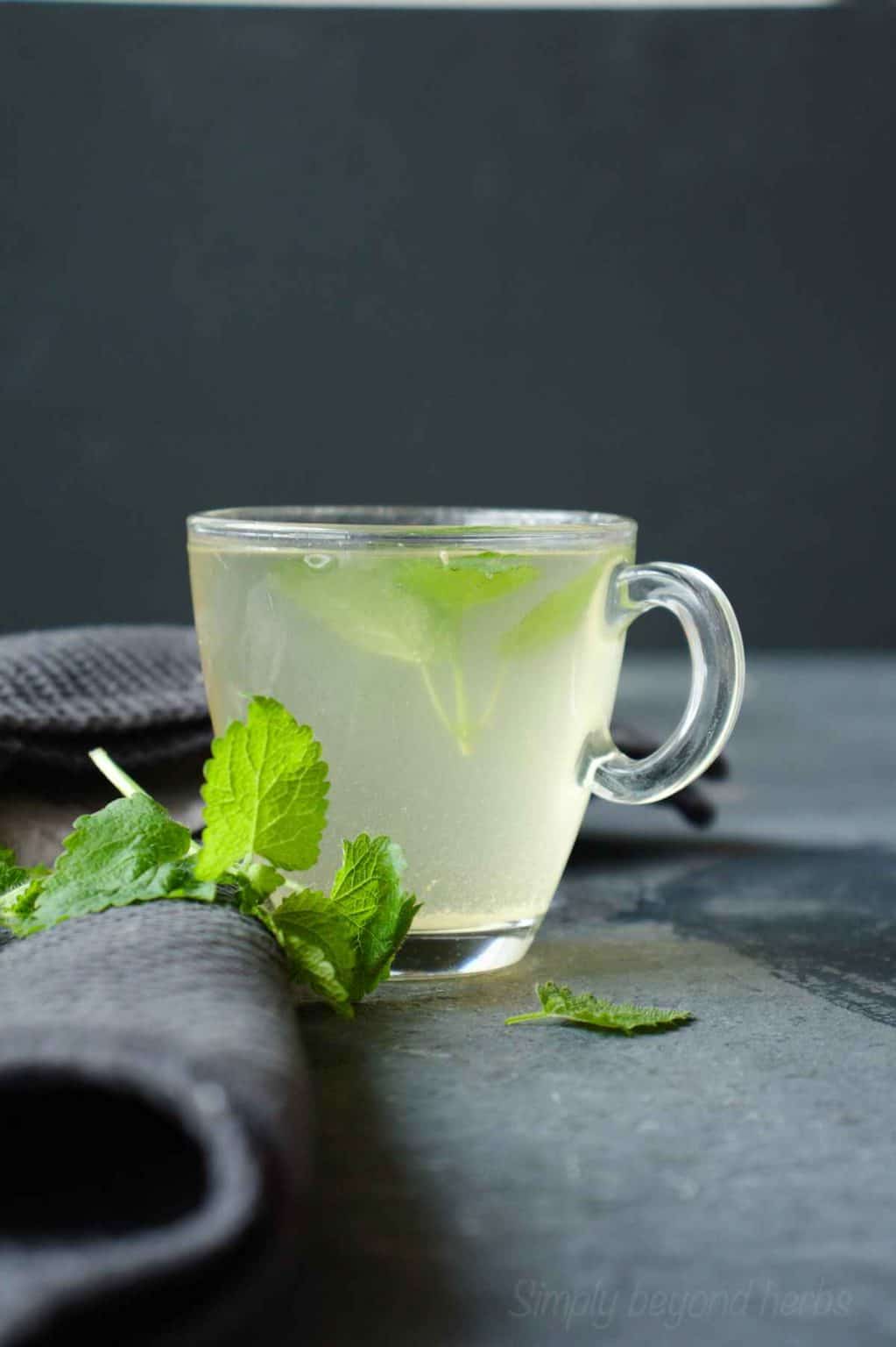 How to make lemon balm tea - SimplyBeyondHerbs