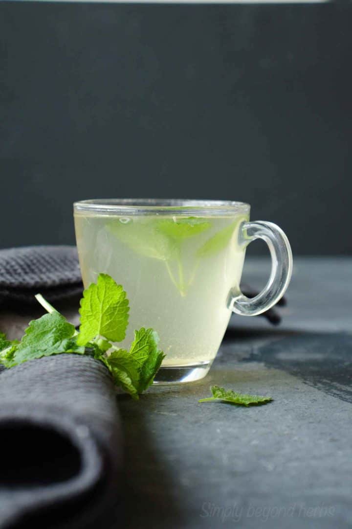 How to make lemon balm tea - SimplyBeyondHerbs
