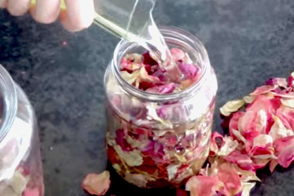 Make rose petal powder recipe for glowing skin - SimplyBeyondHerbs