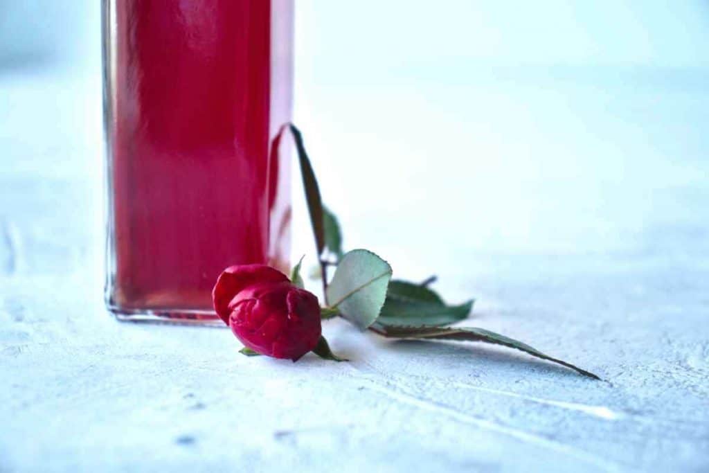 Rose cordial recipe (simple rose syrup) - SimplyBeyondHerbs