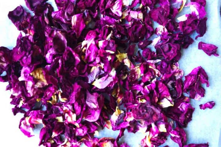 Make rose petal powder recipe for glowing skin - SimplyBeyondHerbs