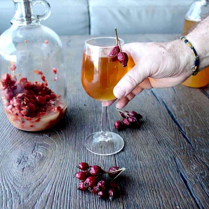 Rosehip Wine (and Mead) - SimplyBeyondHerbs
