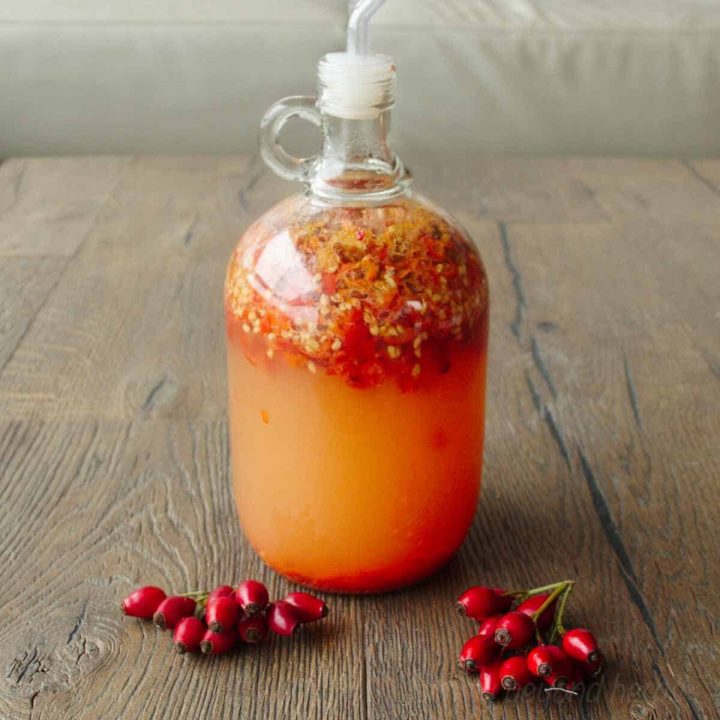 Rosehip Wine (and Mead) - SimplyBeyondHerbs