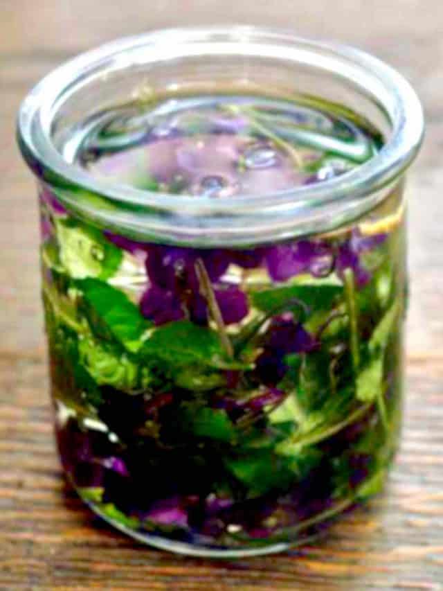 Wild Violet jelly recipe to bring summer to your kitchen ...