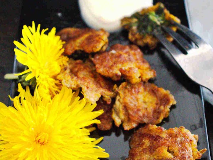 Fried Dandelion Blossoms