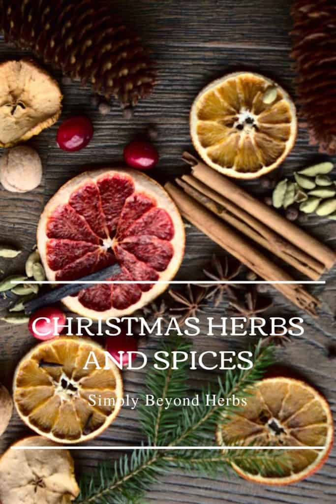 23 Christmas spices and herbs to highlight the festive season - SimplyBeyondHerbs