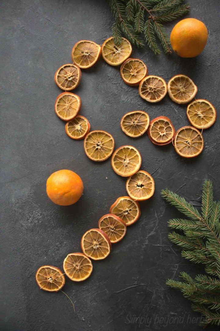 How to make a dried orange garland for Christmas decor - SimplyBeyondHerbs
