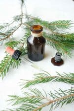 Pine Needle Tincture Recipe. - SimplyBeyondHerbs