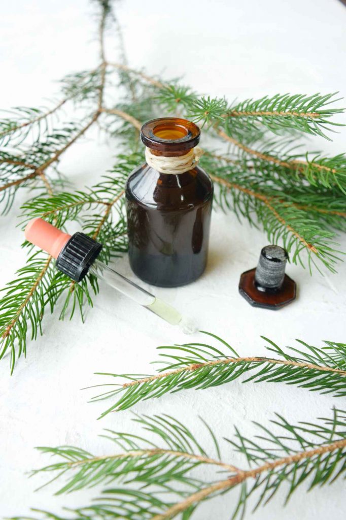 Pine Needle Tincture Recipe. - SimplyBeyondHerbs