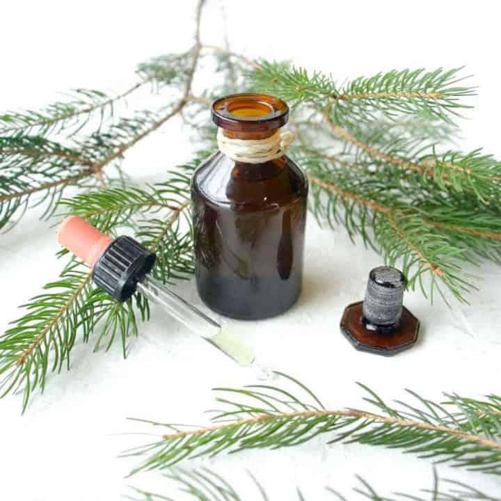 Pine Needle Tincture Recipe. - SimplyBeyondHerbs