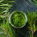 Pine Needle Tincture Recipe. - SimplyBeyondHerbs