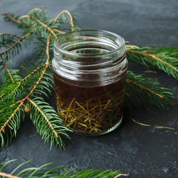 Pine Needle Tincture Recipe. - SimplyBeyondHerbs