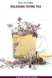 How to make Thyme Tea (A Herbal Tea Recipe for Flu) - SimplyBeyondHerbs