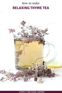 How to Make Thyme Tea - SimplyBeyondHerbs