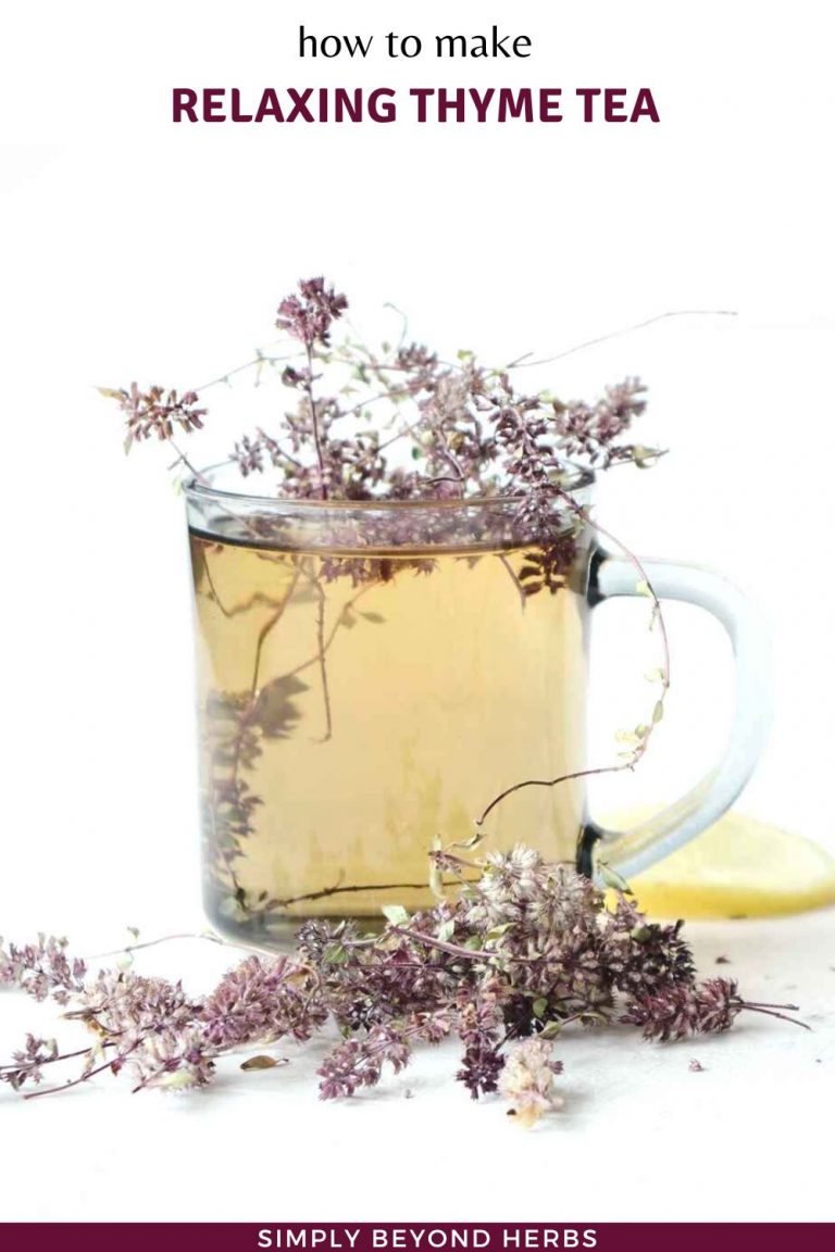 How to Make Thyme Tea - SimplyBeyondHerbs