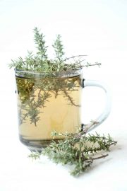 How to make Thyme Tea (A Herbal Tea Recipe for Flu) - SimplyBeyondHerbs