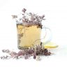 How to make Thyme Tea (A Herbal Tea Recipe for Flu) - SimplyBeyondHerbs