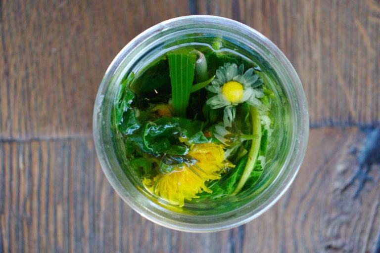 Dandelion tea recipe: (from flowers, greens or roasted roots ...