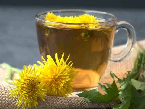 Dandelion tea recipe: (from flowers, greens or roasted roots ...