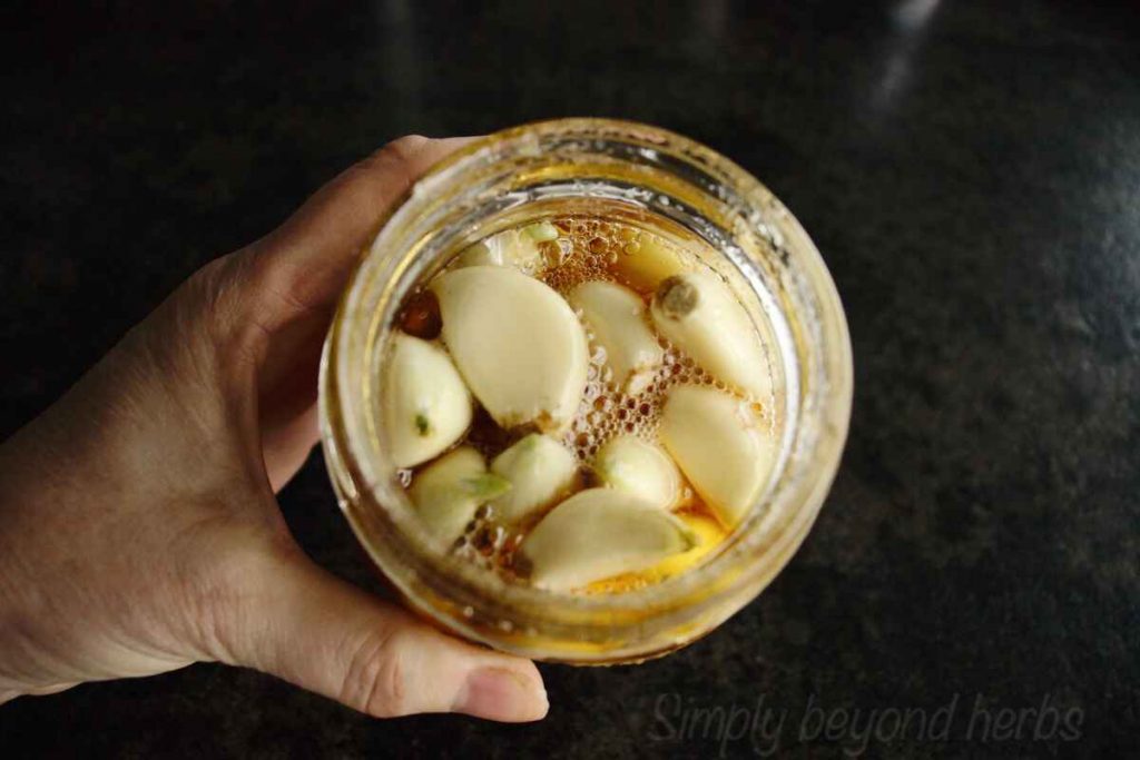 Fermenting Honey: How it Works and Why You’ll Love It - SimplyBeyondHerbs