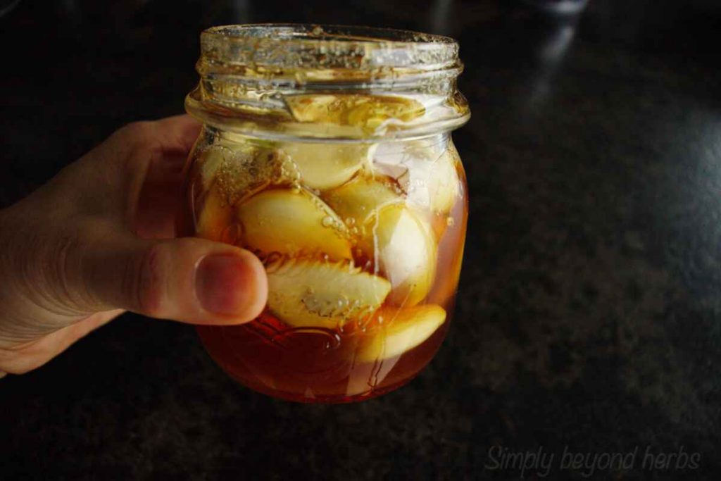 Fermented garlic honey - SimplyBeyondHerbs