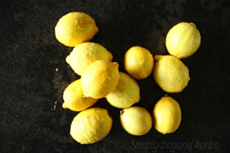 How to make lemon extract recipe and its uses - SimplyBeyondHerbs