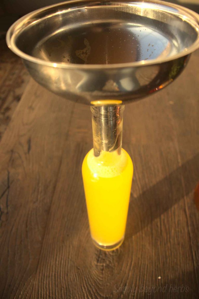 Homemade Orange cordial recipe: Orange simple syrup - SimplyBeyondHerbs