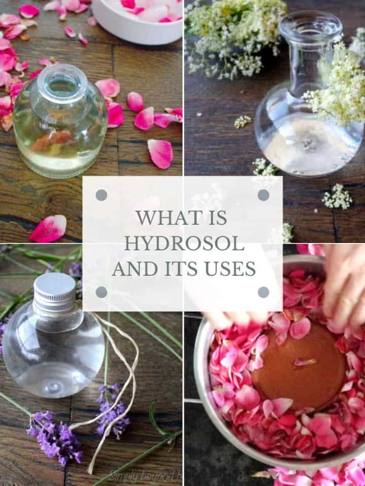 12 Hidden uses of Rose Petals - SimplyBeyondHerbs