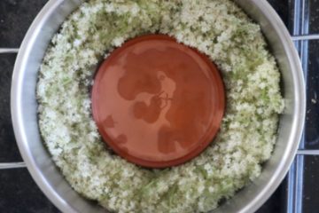 What is hydrosol (Floral water) - SimplyBeyondHerbs