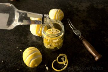 How to make lemon extract recipe and its uses - SimplyBeyondHerbs