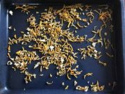 Dehydrated lemon powder from dried citrus peel and ways to use it ...