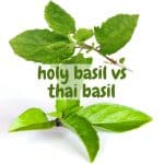 Holy basil vs Thai basil. - SimplyBeyondHerbs