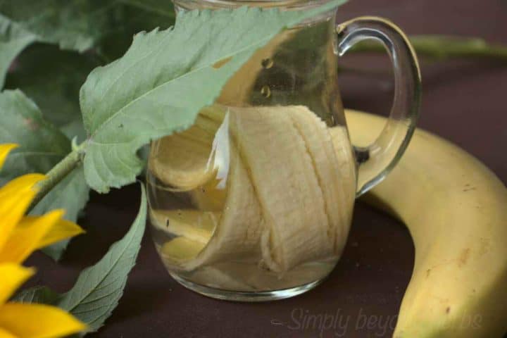 Banana tea recipe for restful sleep - SimplyBeyondHerbs