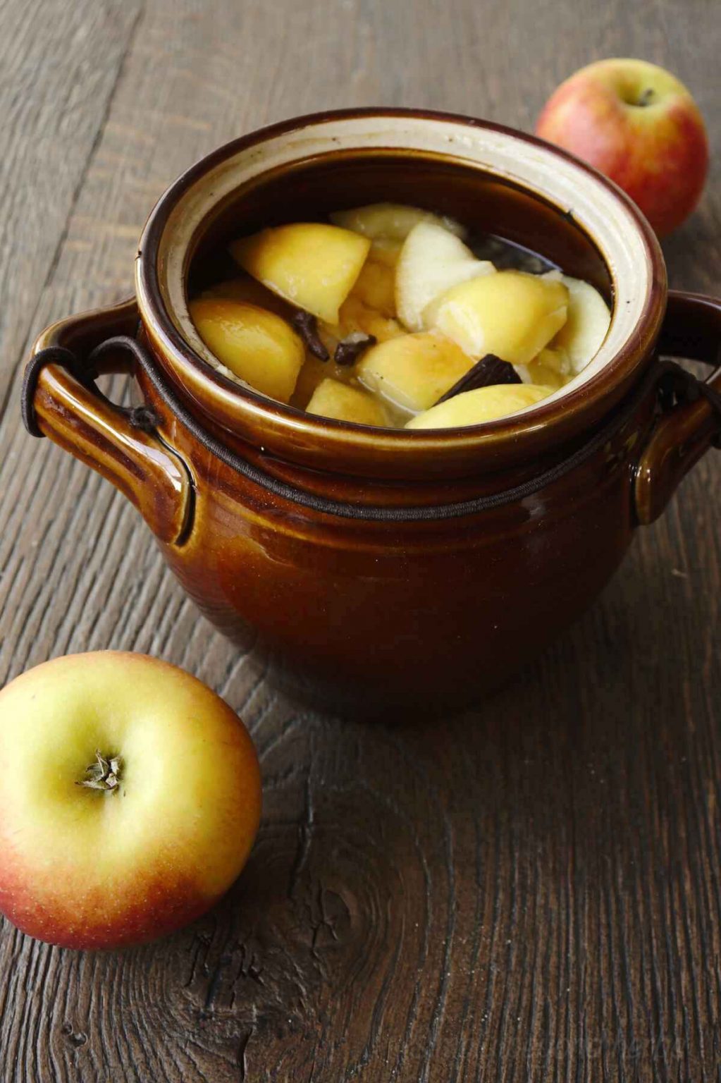 Probiotic Rich Fermented Apple Recipe - SimplyBeyondHerbs