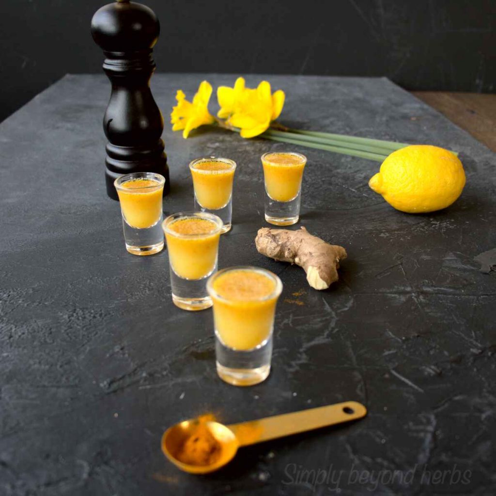 Lemon ginger turmeric shot recipe - SimplyBeyondHerbs