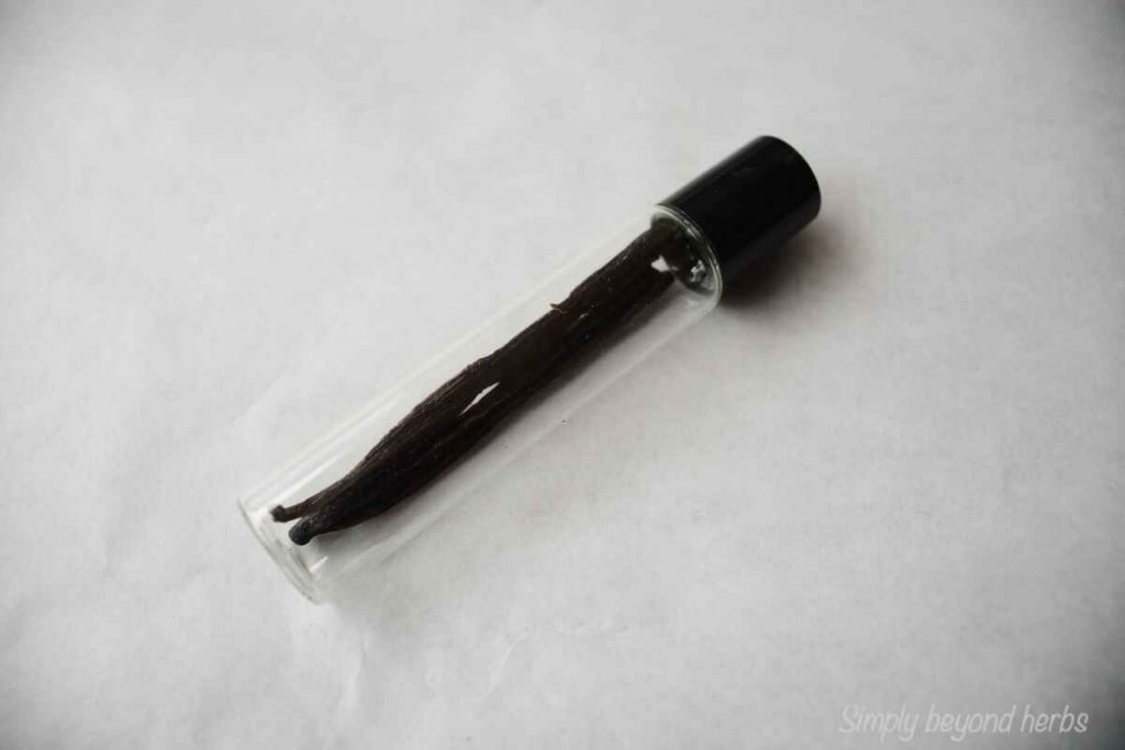 How to store vanilla beans: (10 tips to store pods correctly ...