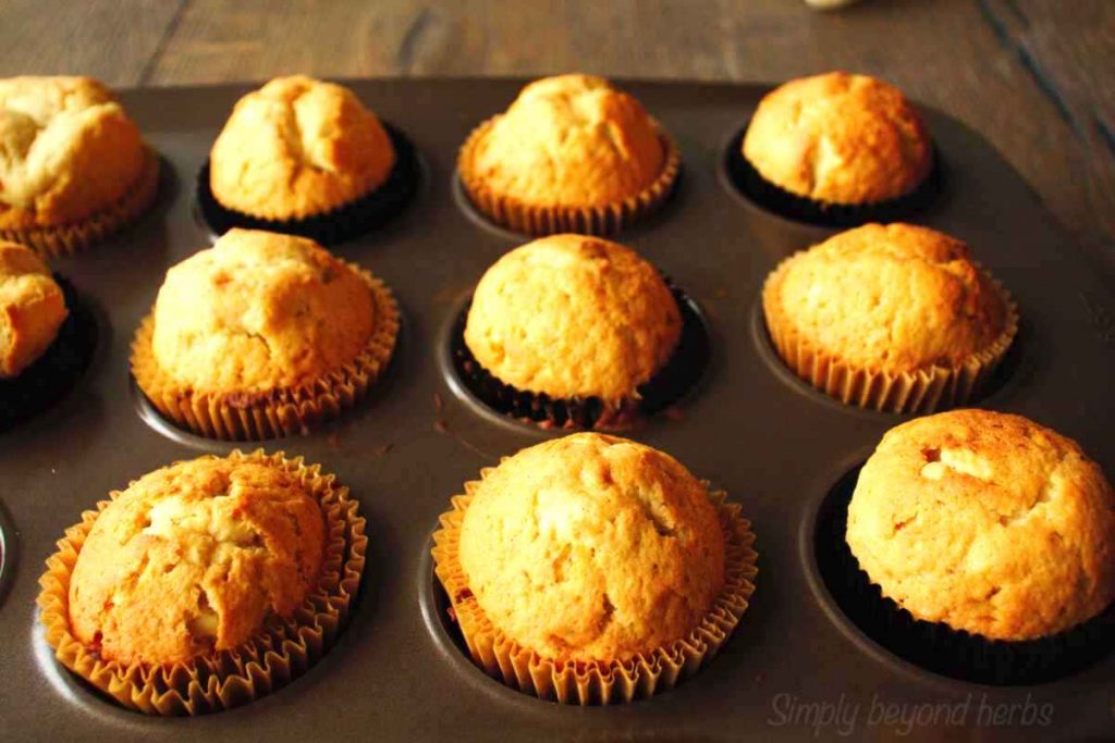 Simple vanilla muffin recipe - SimplyBeyondHerbs