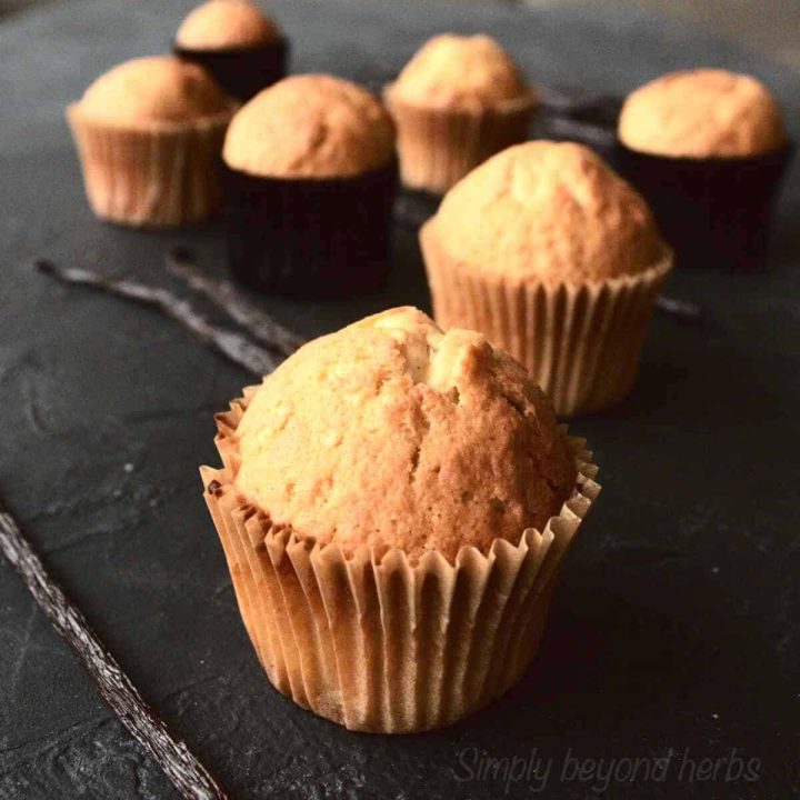 Simple vanilla muffin recipe - SimplyBeyondHerbs