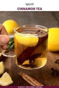 How to make Cinnamon Tea - SimplyBeyondHerbs