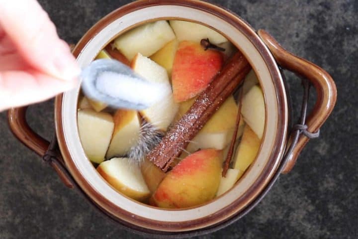 Probiotic Rich Fermented Apple Recipe - SimplyBeyondHerbs