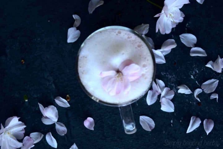 Sakura Latte at home: Cherry blossom drink - SimplyBeyondHerbs