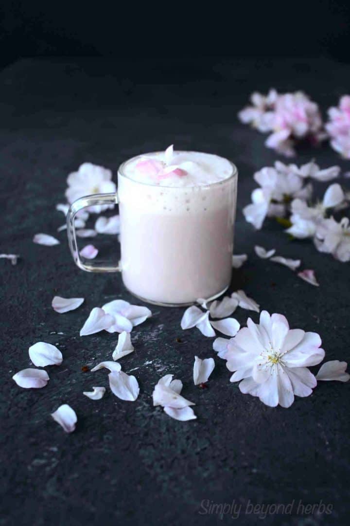 Sakura Latte at home: Cherry blossom drink - SimplyBeyondHerbs