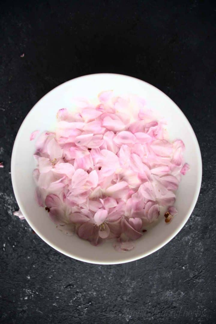 Sakura Latte at home: Cherry blossom drink - SimplyBeyondHerbs