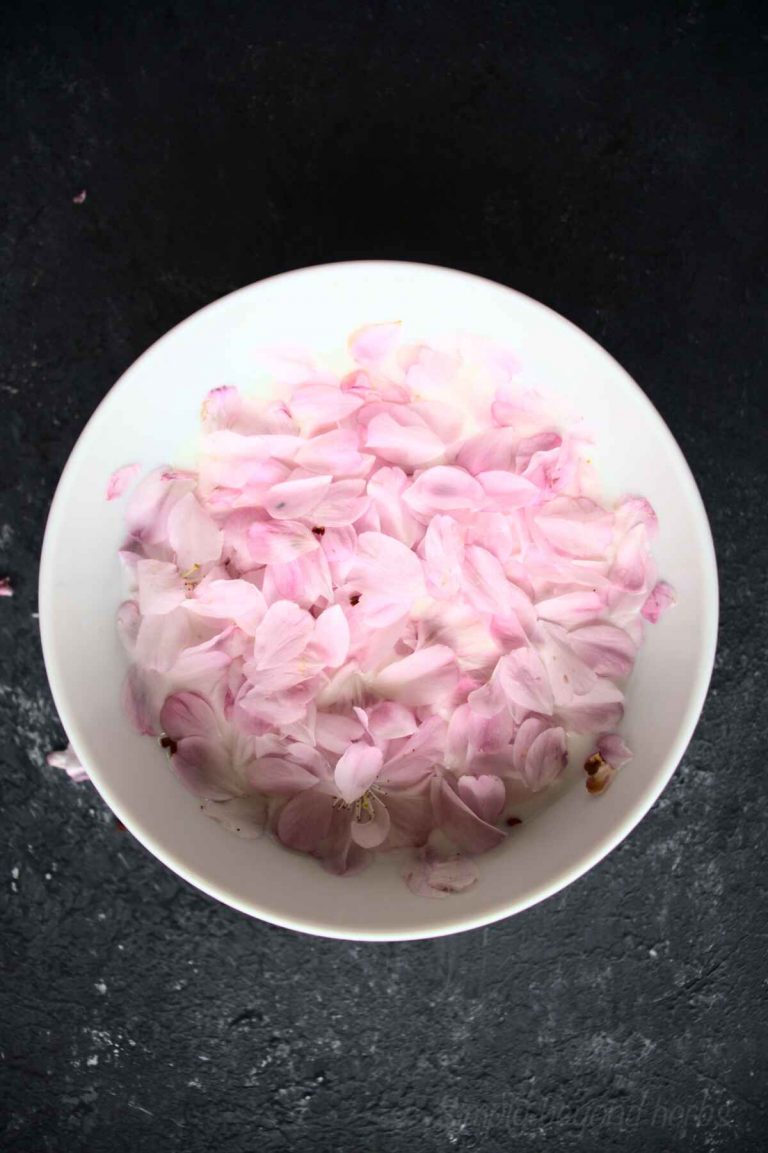 Sakura Latte at home: Cherry blossom drink - SimplyBeyondHerbs