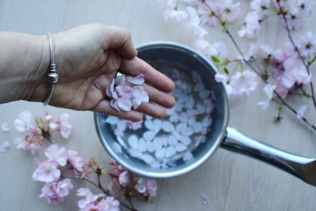 Sakura Latte at home: Cherry blossom drink - SimplyBeyondHerbs