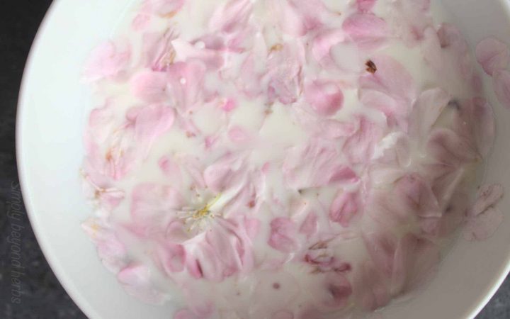 Sakura Latte at home: Cherry blossom drink - SimplyBeyondHerbs